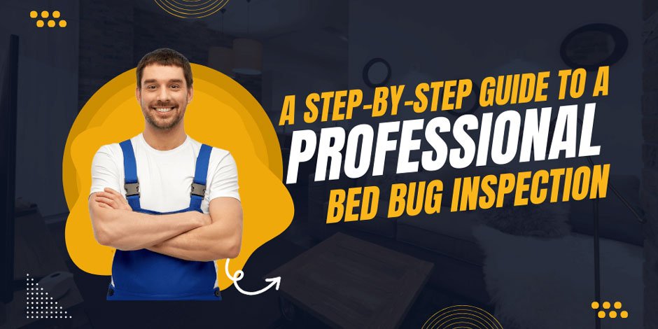 A Step-by-Step Guide to a Professional Bed Bug Inspection ...